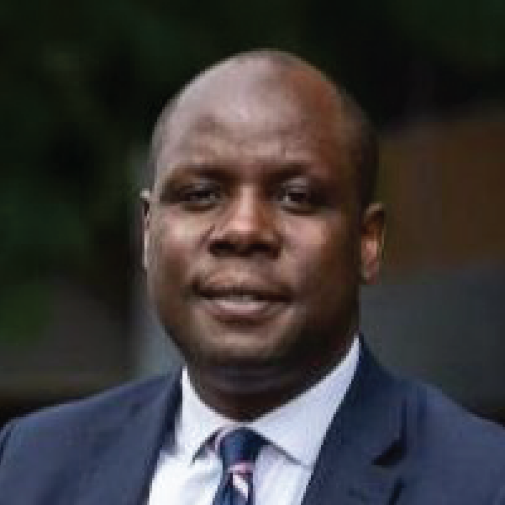 The Team – DOCBEECEE